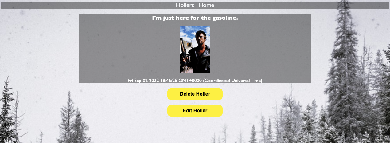 GitHub - ShahryarAbbasi/Project_2_Holler