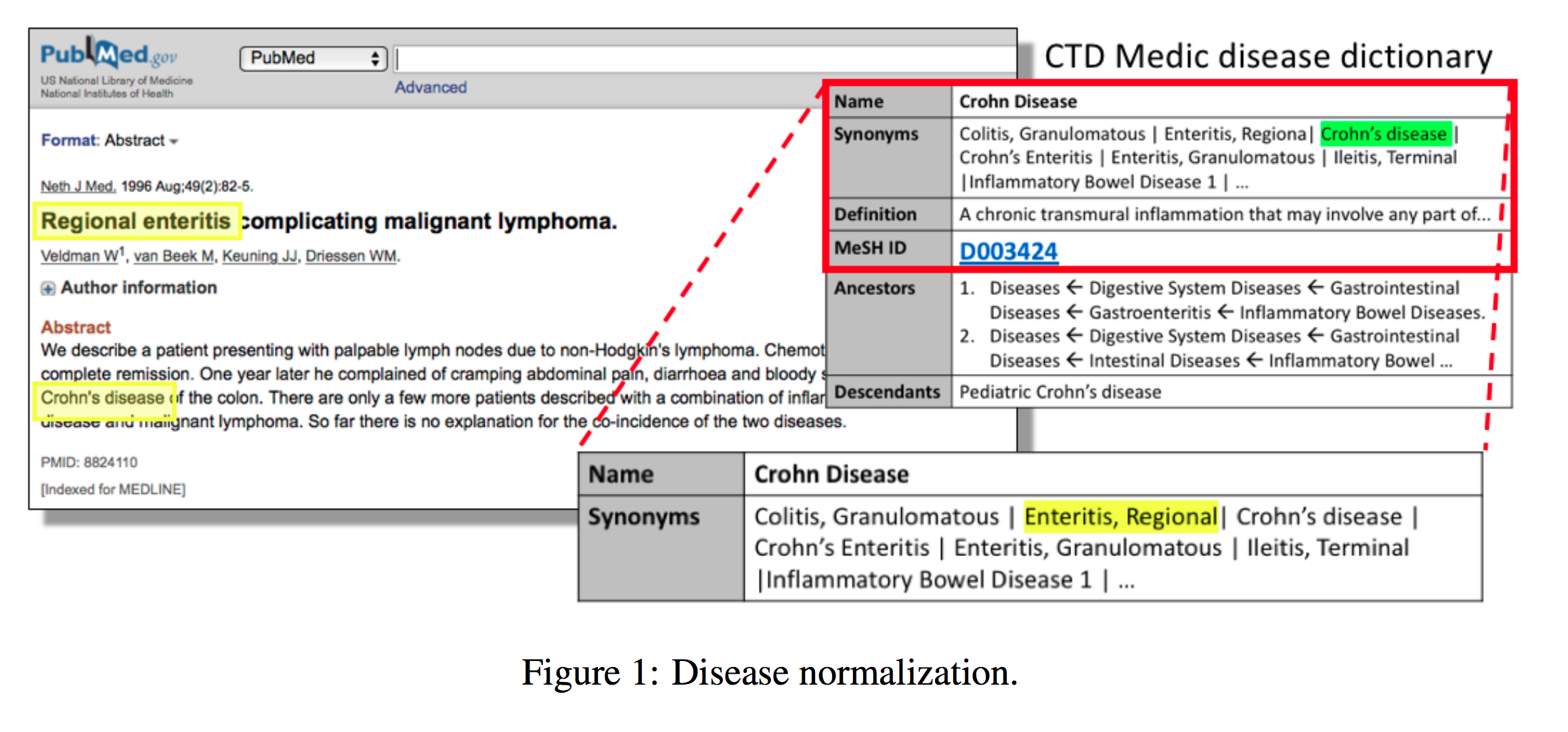 AKBC-2019-NormCo: Deep Disease Normalization for Biomedical Knowledge ...
