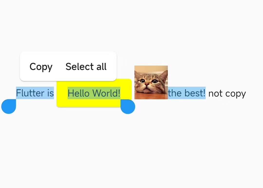 Selectionarea Didnt Match The Expected Behavior With Widgetspan · Issue 111021 · Flutter
