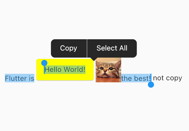 SelectionArea Didn’t Match The Expected Behavior with WidgetSpan · Issue #111021 · flutter ...
