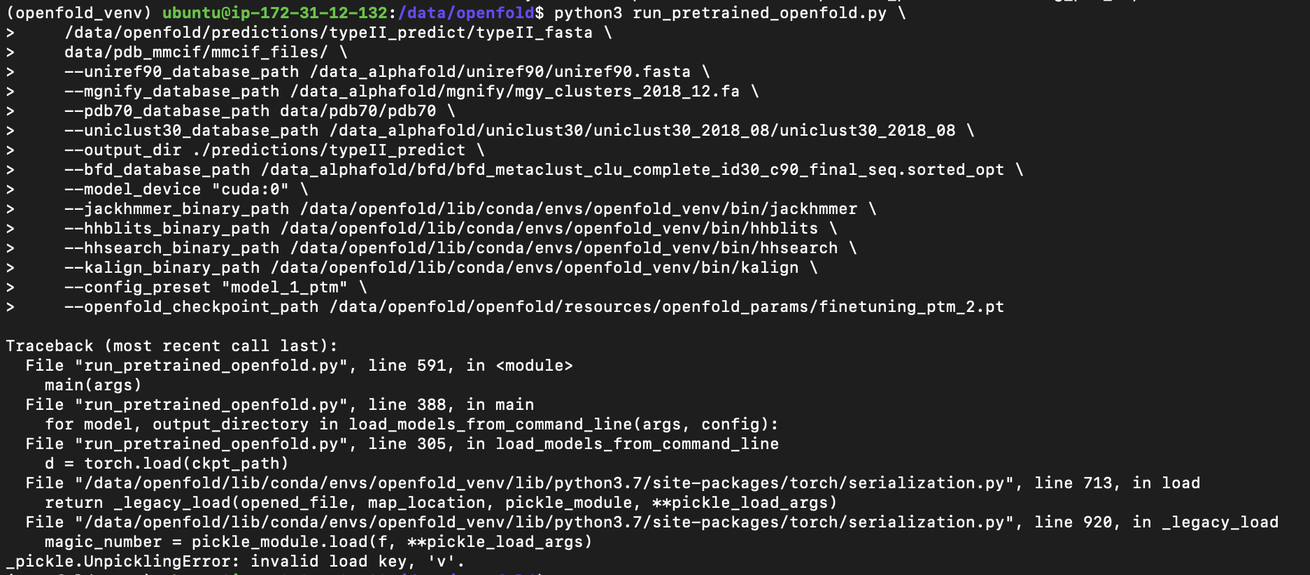 Pickleunpicklingerror Invalid Load Key V Error While Running Inference · Issue 173 