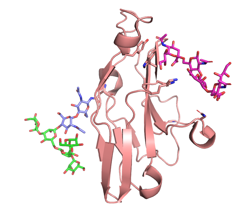 GitHub - glycodynamics/Tutorial-HM-Modeller: Homology Modeling tutorial to model the structure ...