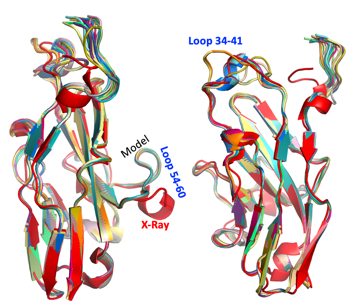 GitHub - glycodynamics/Tutorial-HM-Modeller: Homology Modeling tutorial to model the structure ...