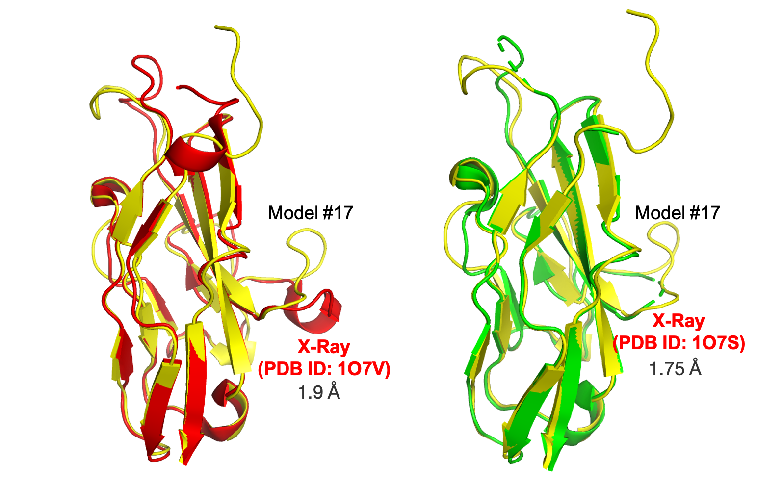 GitHub - glycodynamics/Tutorial-HM-Modeller: Homology Modeling tutorial to model the structure ...
