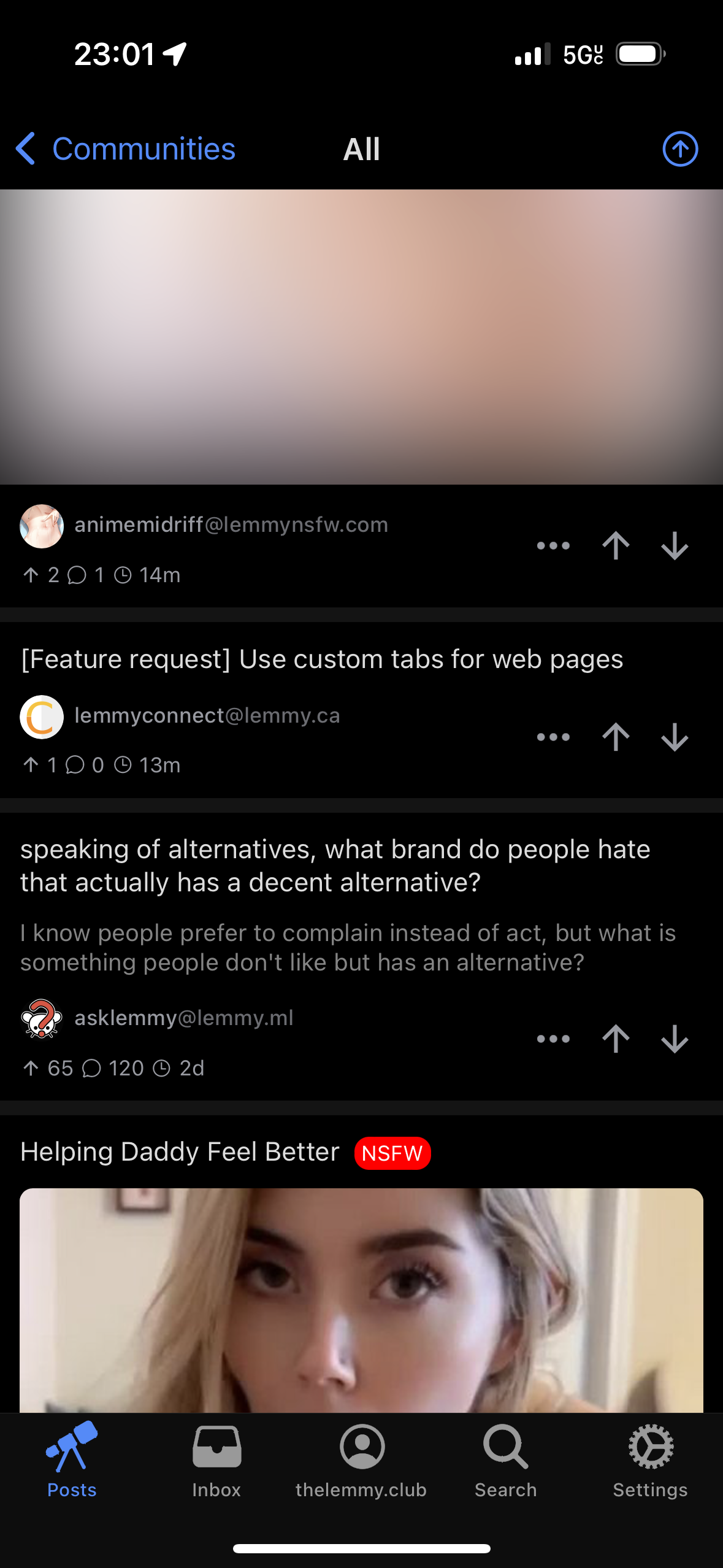 Website previews for NSFW posts aren't blurred · Issue #112 · aeharding/voyager · GitHub