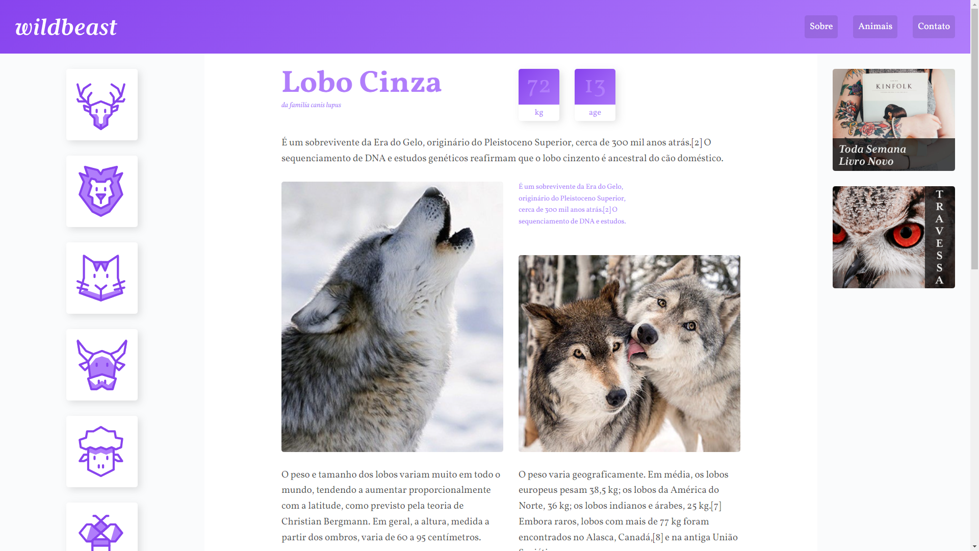 GitHub - JvKulka/WildBest-Grid: Projeto final curso de CSS Grid Layout da Origamid