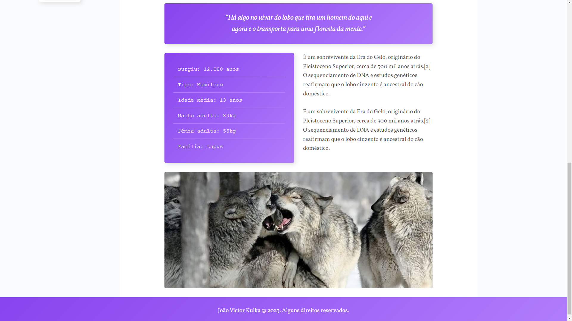 GitHub - JvKulka/WildBest-Grid: Projeto final curso de CSS Grid Layout da Origamid