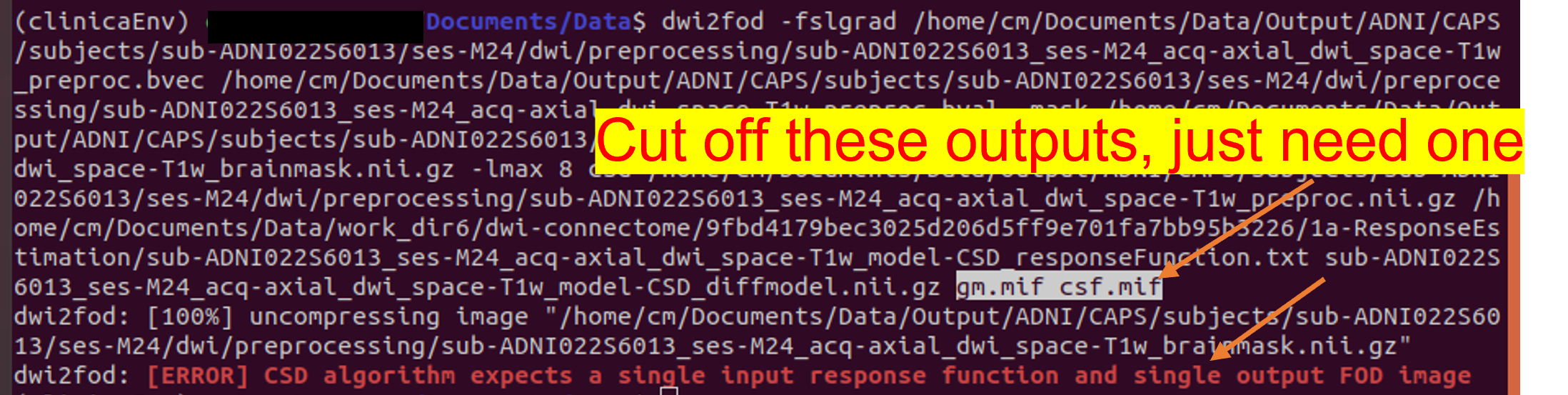 NodeExecutionError: Node 1b-FODEstimation. · Issue #687 · aramis-lab/clinica · GitHub
