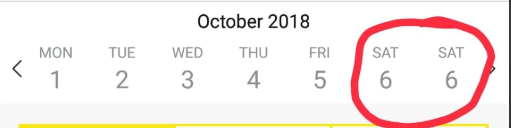 Date duplication · Issue #99 · BugiDev/react-native-calendar-strip · GitHub
