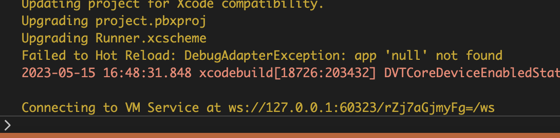 Failed To Hot Reload Debugadapterexception App Null Not Found