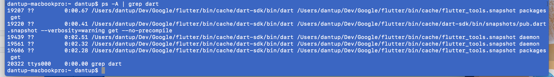 Flutter Processes Sometimes Not Being Terminated Correctly · Issue 722 · Dart Code Dart Code
