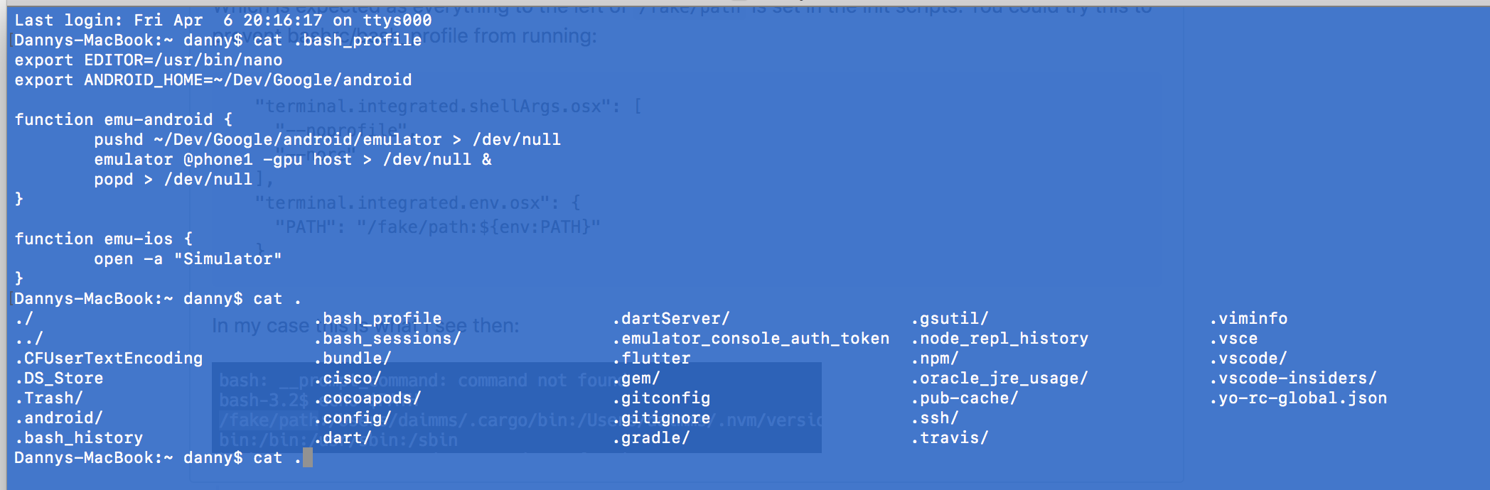 Setting terminal path via `terminal.integrated.env.osx` has paths ...