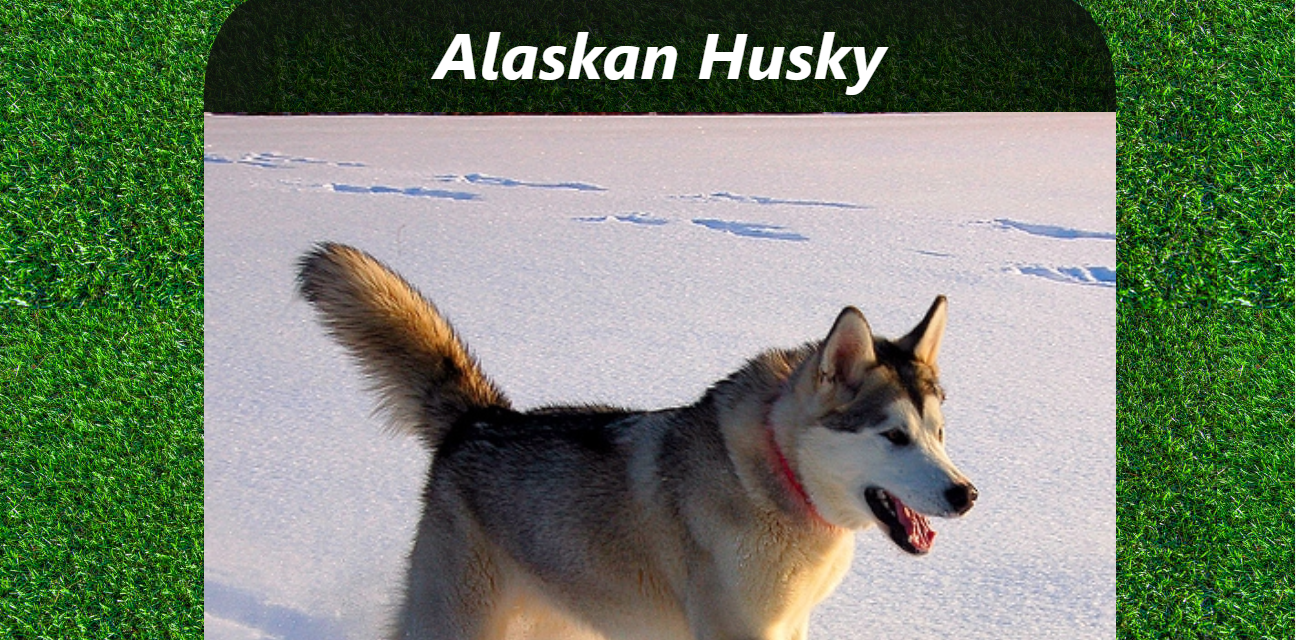 maicolortz (Maicol Ortiz Hernandez) · GitHub