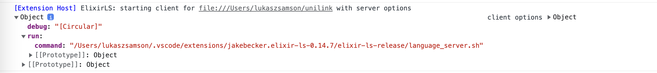 The extension does not work in Ubuntu + VS-code · Issue #877 · elixir-lsp/elixir-ls · GitHub