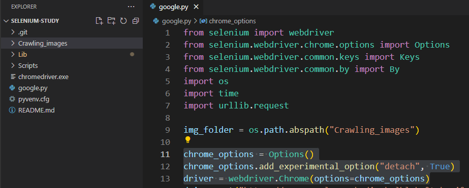 GitHub - YoungcheolLee/selenium-study: selenium을 활용한 크롬 크롤링 자동화테스트