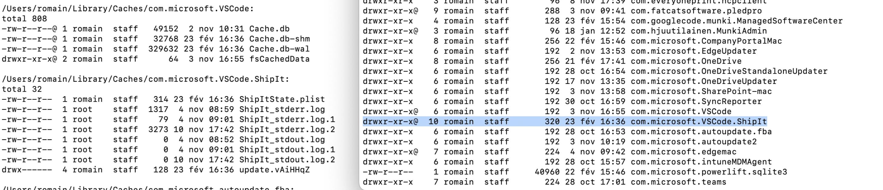 Impossible To Update Vscode With Standard User On Macos · Issue 175260 