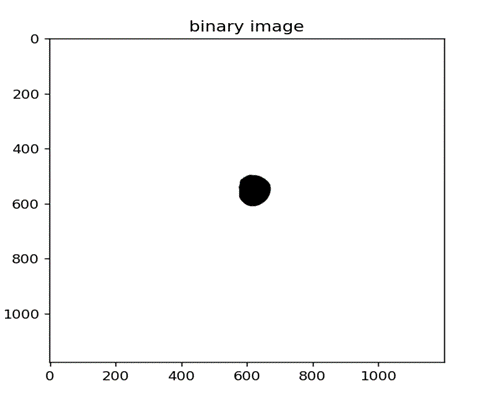 GitHub - mondoor/Iris-Biometric--Recognition-System