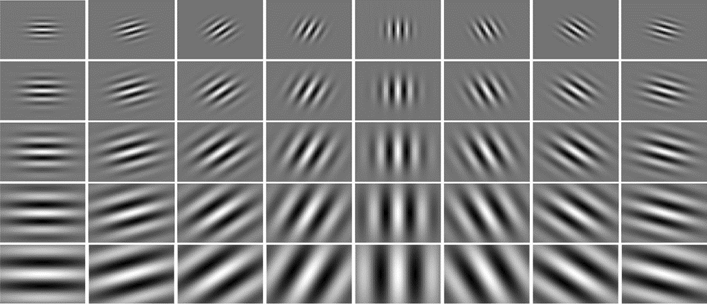 GitHub - mondoor/Iris-Biometric--Recognition-System