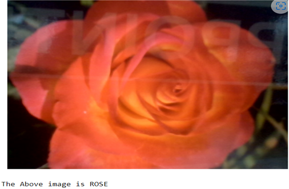 GitHub - Badrieshwar/HCL-INTERNSHIP: FLOWER RECOGNIZATION USING DEEP ... GitHub - Badrieshwar/HCL-INTERNSHIP: FLOWER RECOGNIZATION USING DEEP ...