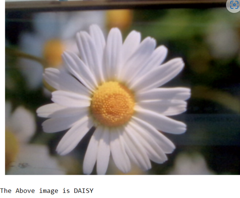 GitHub - Badrieshwar/HCL-INTERNSHIP: FLOWER RECOGNIZATION USING DEEP ...