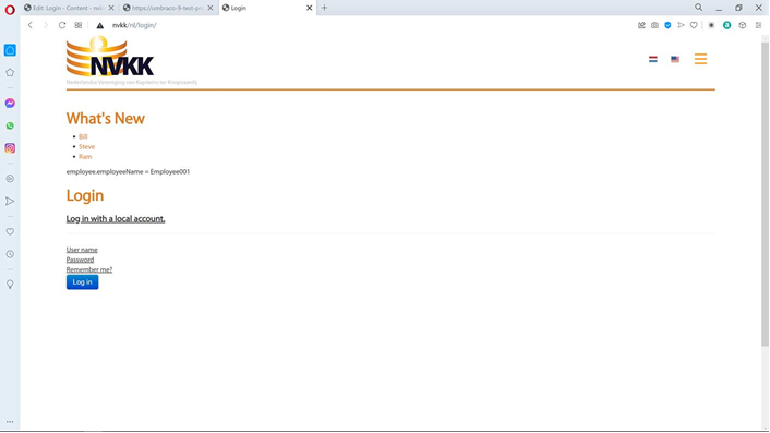 Login And Registration Do Not Show Textboxes In The Richtext Editor When Entered Via Macros 5693