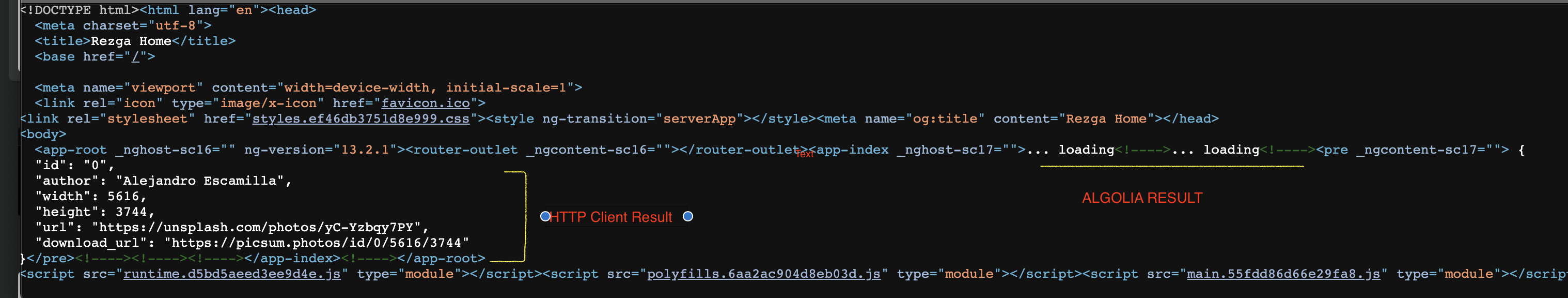 Angular Universal SSR not rendering the server side · Issue #1393 · algolia/algoliasearch-client ...