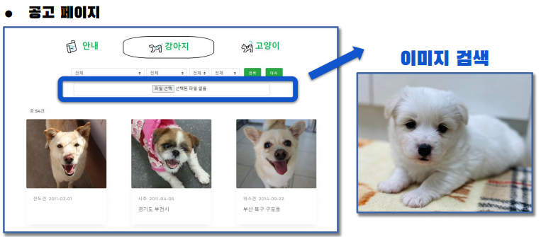 GitHub - hanjaejeong/project03: 유기/유실동물 등록 및 찾기 서비스 제공