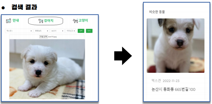 GitHub - hanjaejeong/project03: 유기/유실동물 등록 및 찾기 서비스 제공
