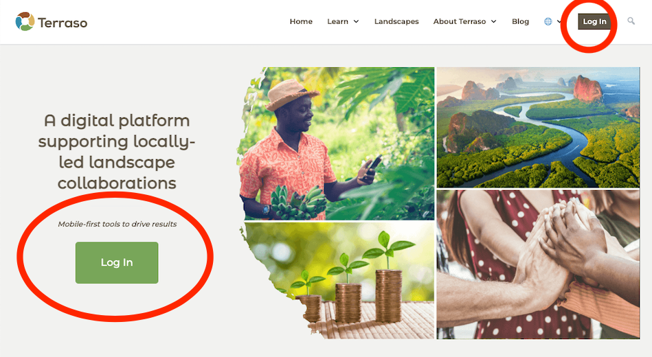Use Plausible to track traffic to terraso and tools · Issue #14 · techmatters/terraso-wp-theme ...