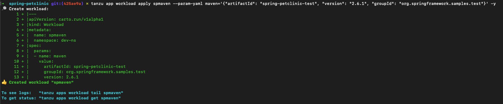Changing source on workload is throwing error · Issue #310 · vmware-tanzu/apps-cli-plugin · GitHub
