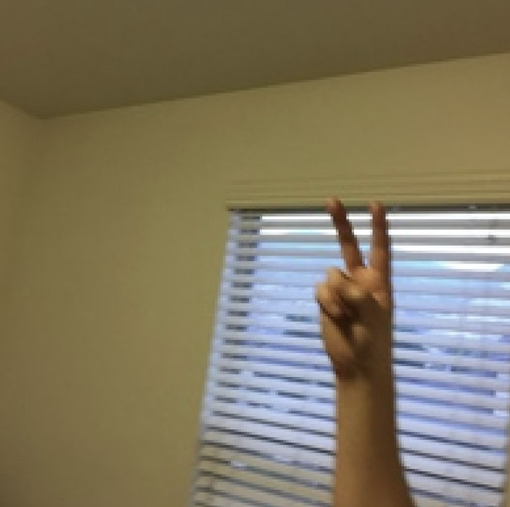 GitHub - gleverette/Applied-AI-Model-of-ASL-Interpretation: Enhancing a ...