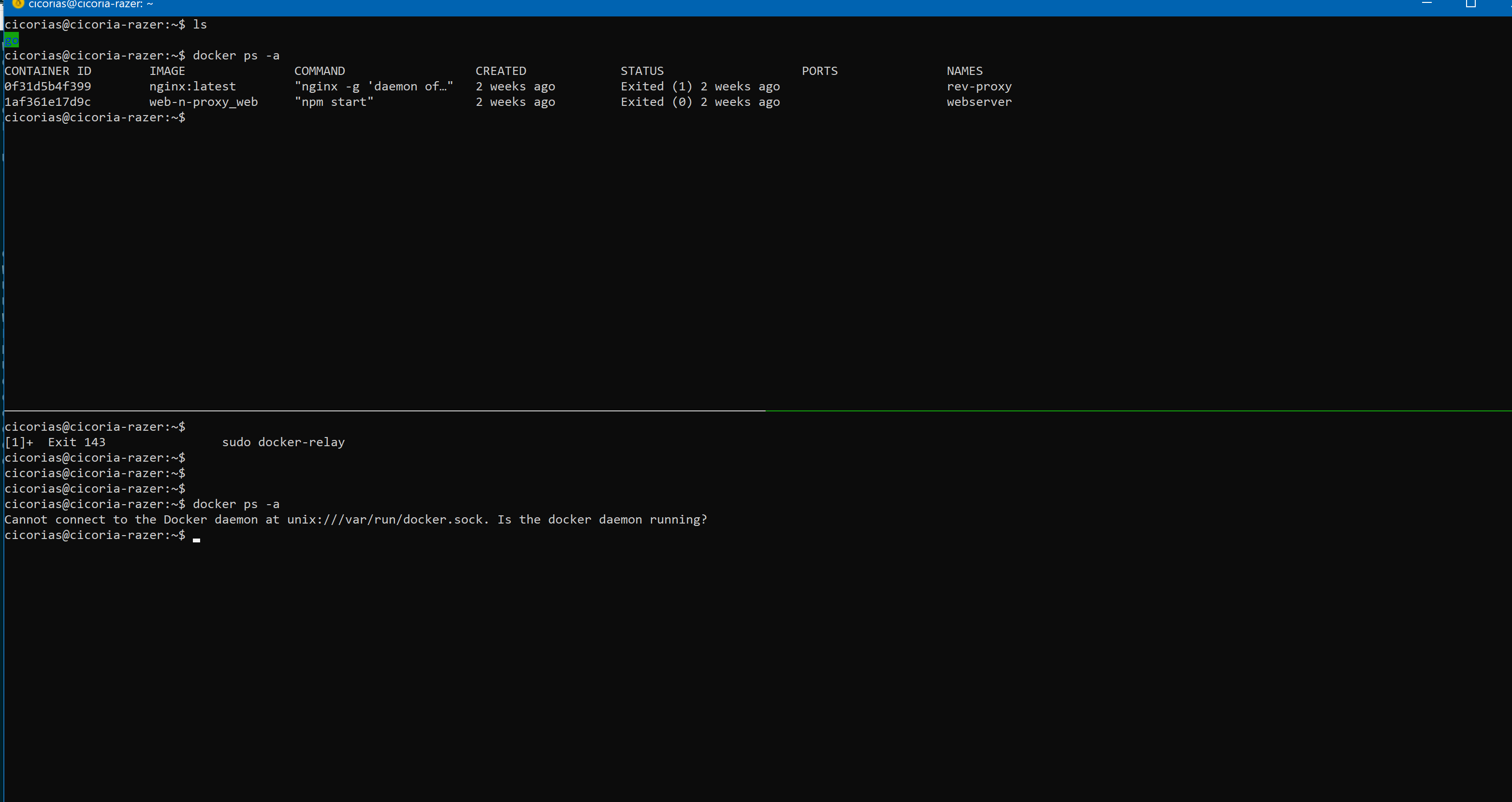 docker bg process died? · Issue #165 · WhitewaterFoundry/Pengwin · GitHub