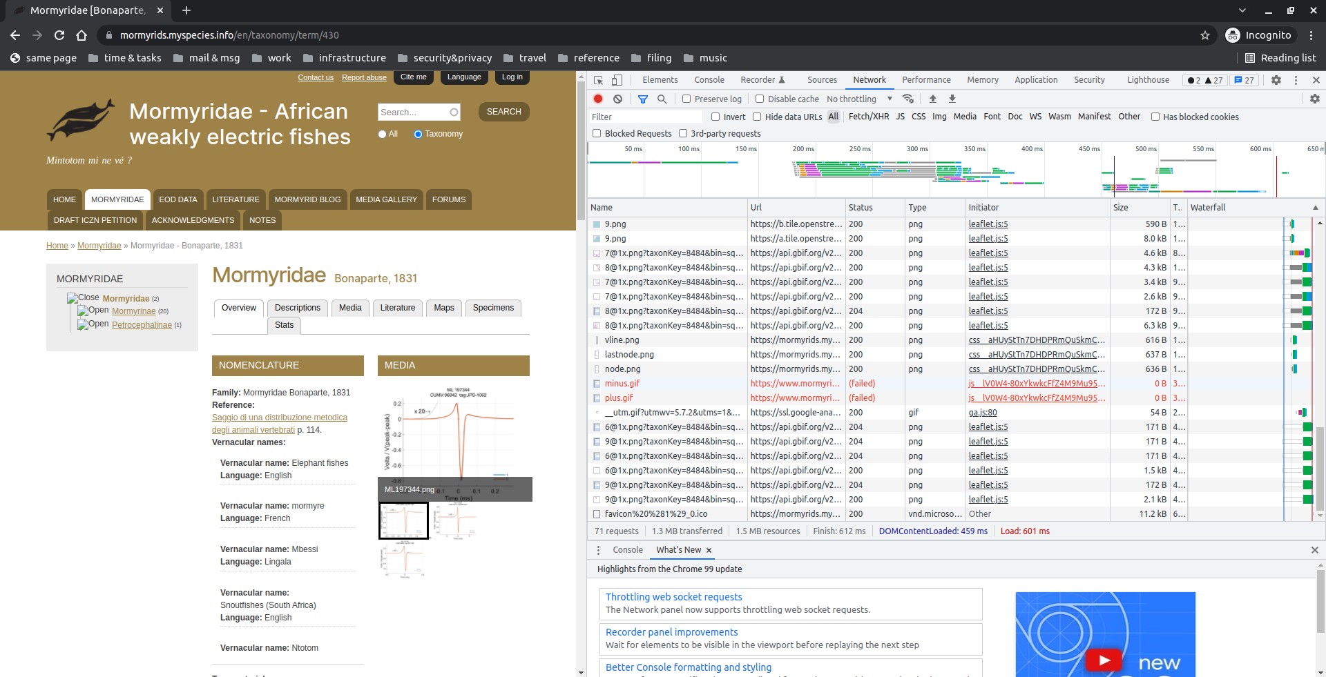 Taxonomy node square expander thingies display incorrectly · Issue #6526 · NaturalHistoryMuseum ...
