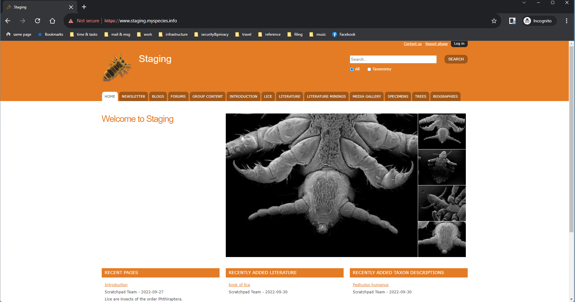 Missing styling due to www and non-https used by some visitors and ...