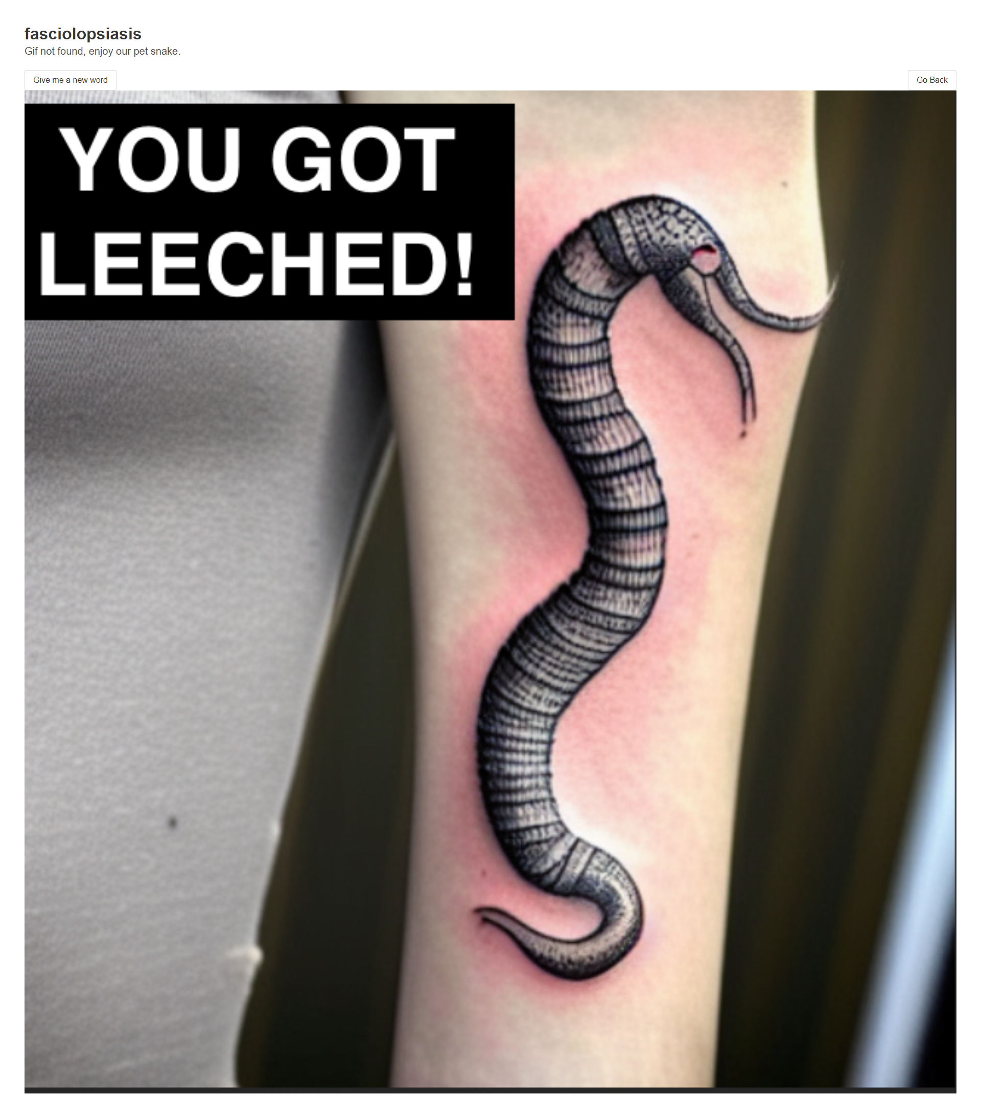 GitHub - rkle408/gif-board: An application to cure your boredom, and that may also expand your ...