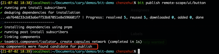 bit publish : No components were found candidate for publish. · Issue #4508 · teambit/bit · GitHub