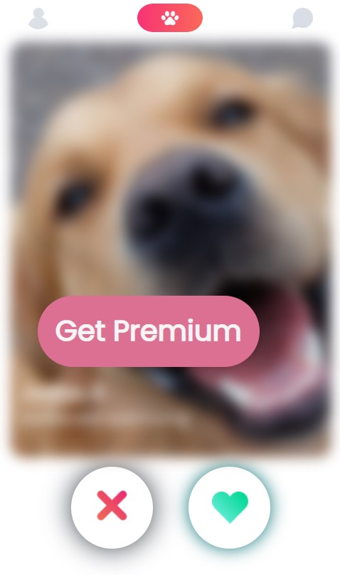 GitHub - eshan-one/Tindog: A web app similar to Tinder