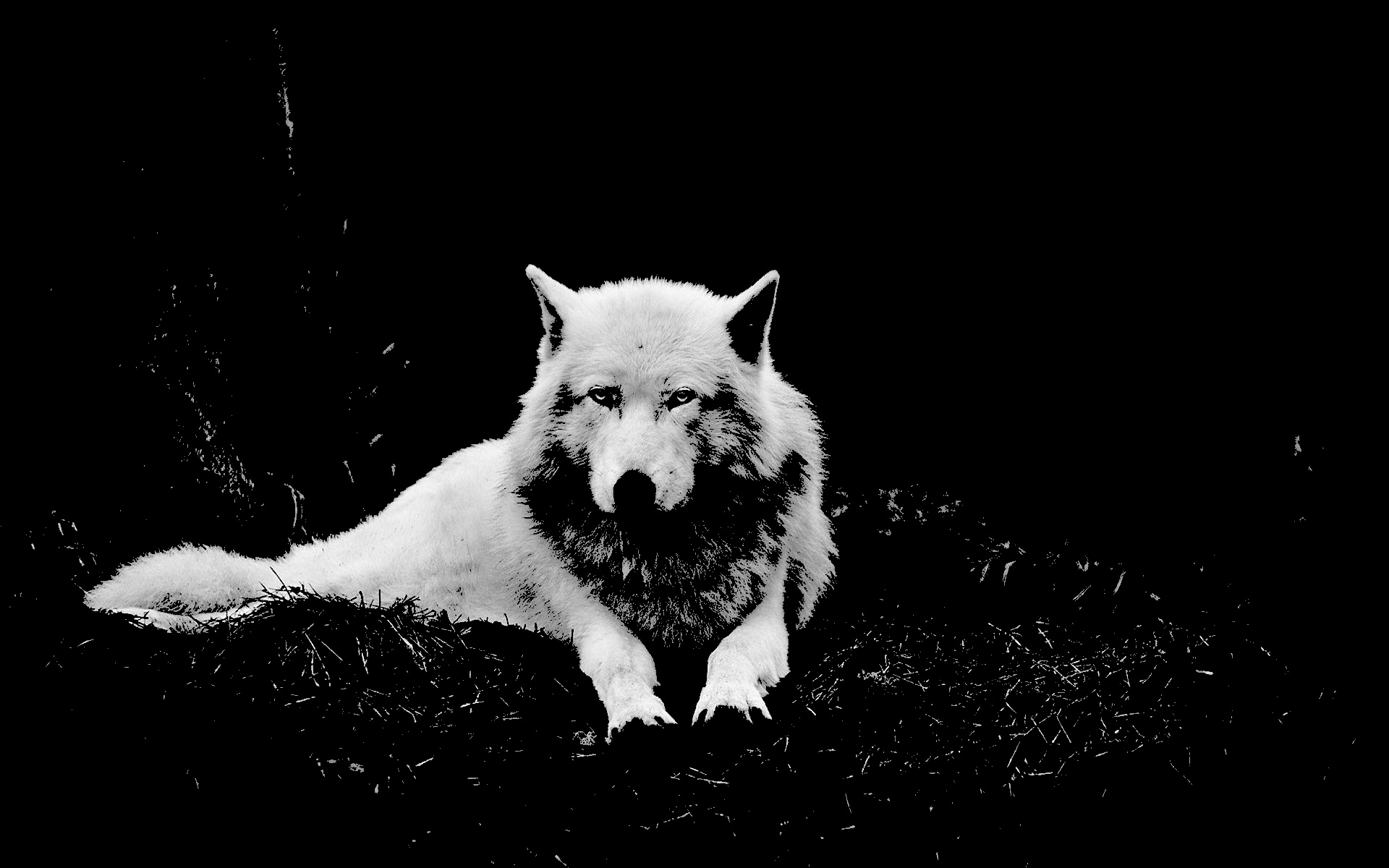 GitHub - saeideh-moghaddam/practice19