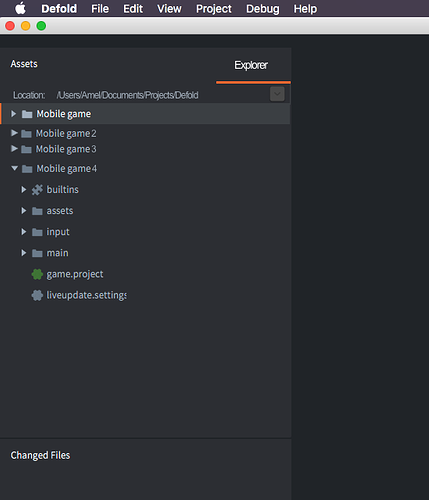 Add Explorer view · Issue #2215 · defold/editor2-issues · GitHub
