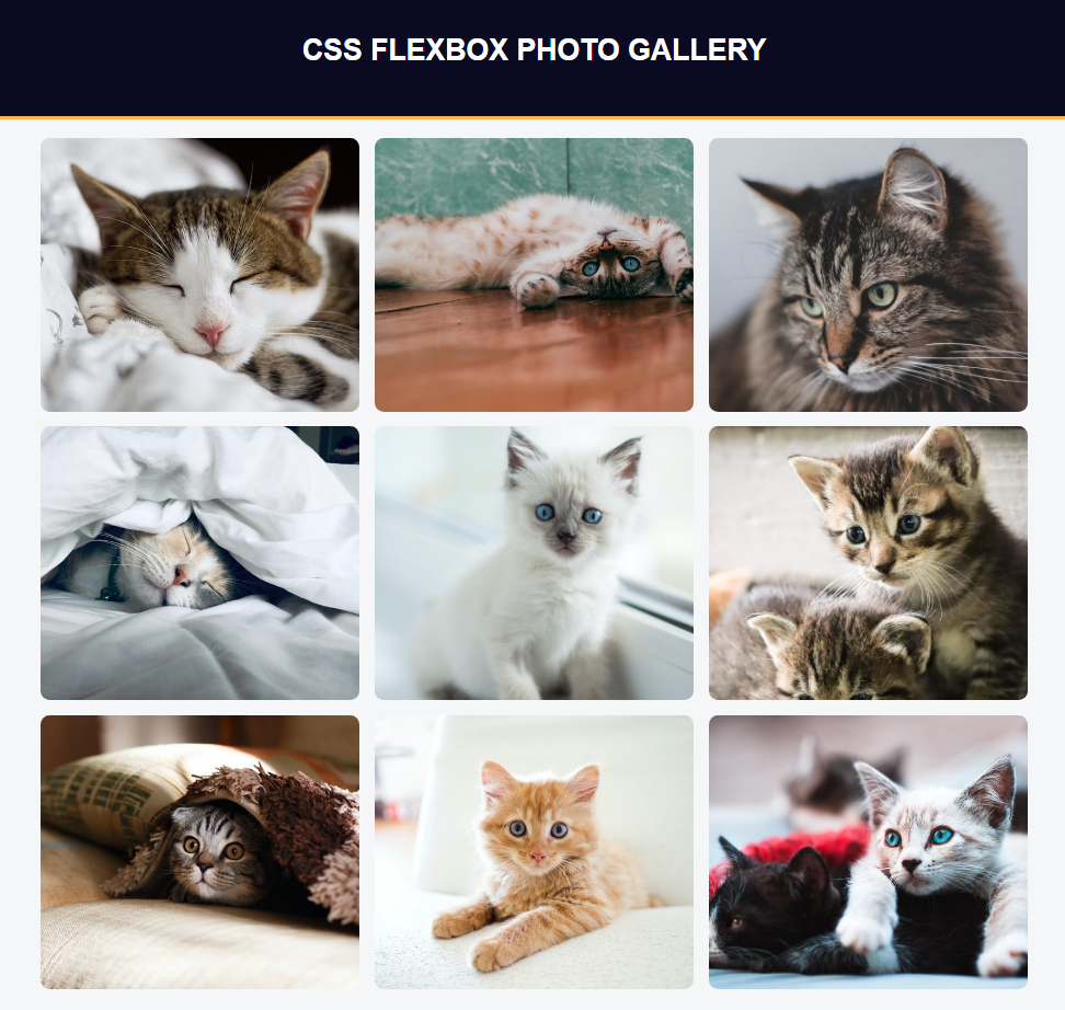 GitHub - alexfn93/Photo-Gallery-FlexBox: Crie uma galeria de imagens de ... GitHub - alexfn93/Photo-Gallery-FlexBox: Crie uma galeria de imagens de ...