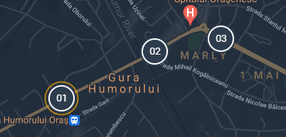 @angular/google-maps: zoomChanged event return the clusters behind with one step · Issue #23418 ...