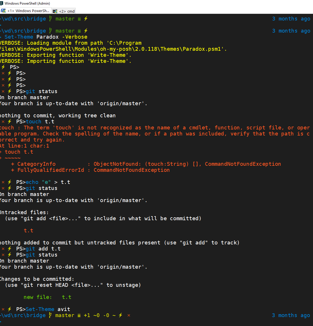 Most Themes not working · Issue #59 · JanDeDobbeleer/oh-my-posh2 · GitHub
