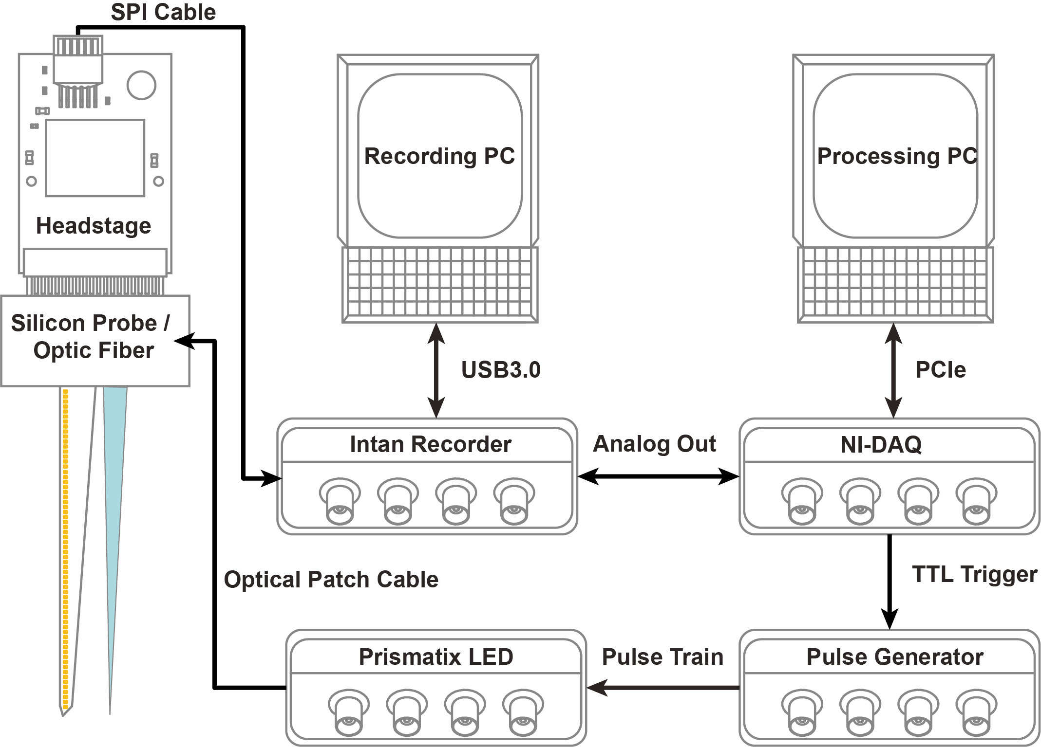 GitHub - ShumanLab/PhaSER