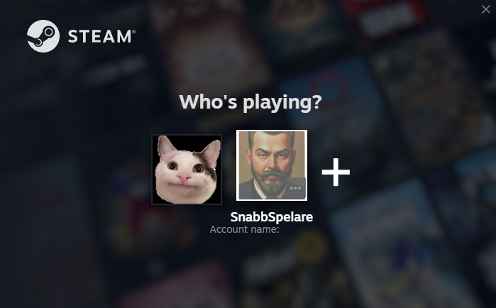 GitHub - SnabbSpelare/Steam-Account-Managing: Elevate your Steam ...