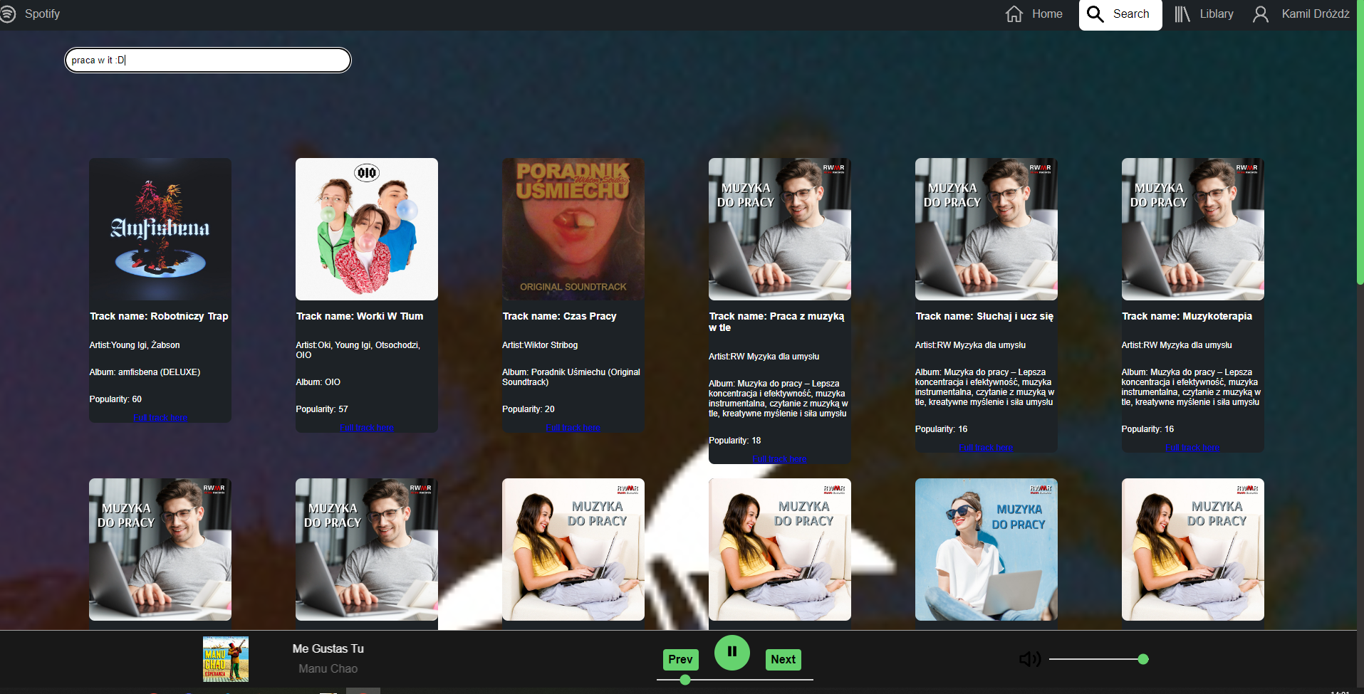 GitHub - Kamil-Drozdz/Spotify