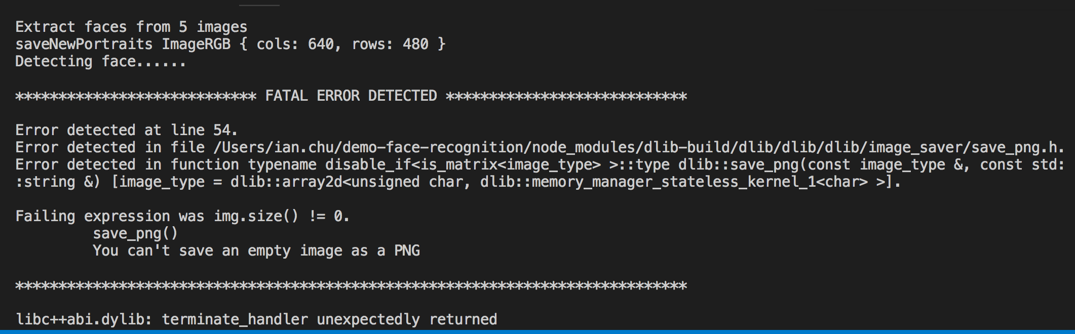 You can't save an empty image as a PNG · Issue #124 · justadudewhohacks/face-recognition.js · GitHub