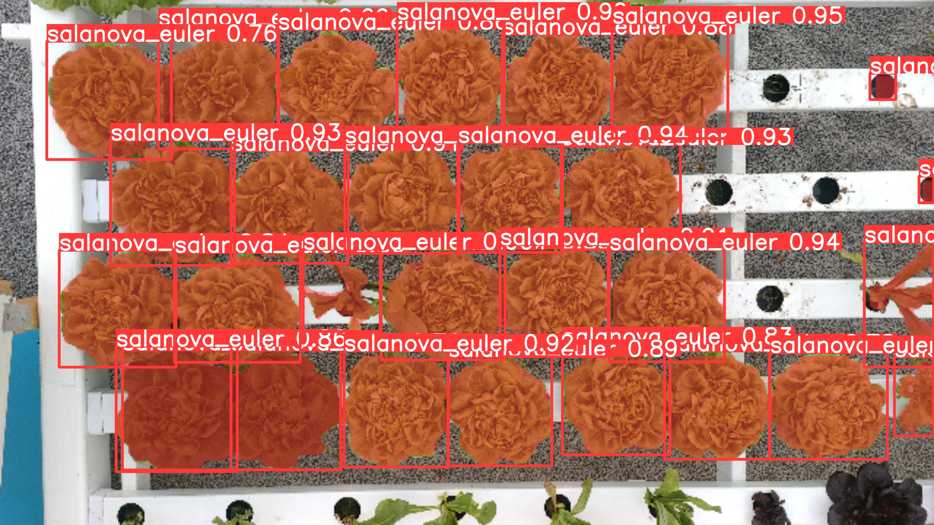 GitHub - mscussiatto/yolo-grow: Get the RGB segmentation mask from ...