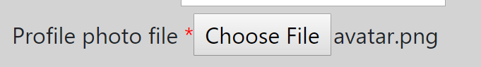 Show name of selected file inline in input field · Issue #963 · dustin10/VichUploaderBundle · GitHub