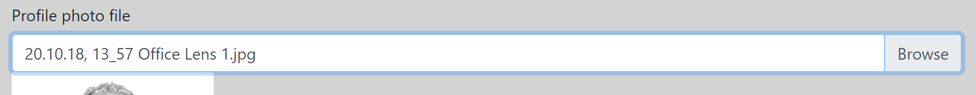 Show name of selected file inline in input field · Issue #963 · dustin10/VichUploaderBundle · GitHub