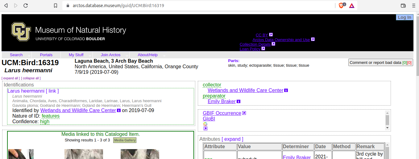 suggest to review integration with https://arctos.database.museum/guid/UCM:Bird:16319 · Issue ...
